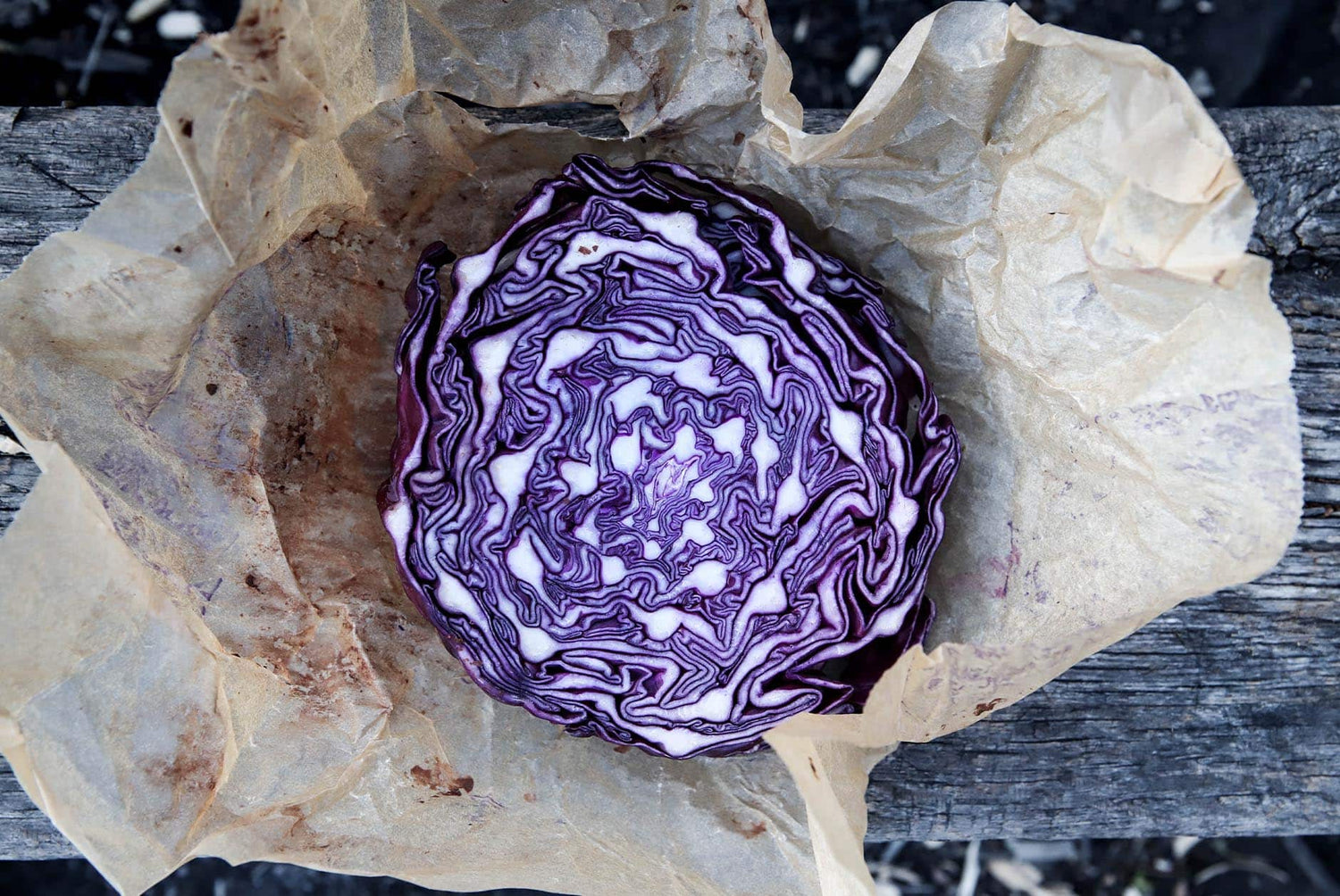 Les 7 bienfaits du chou rouge pour la santé – Relance